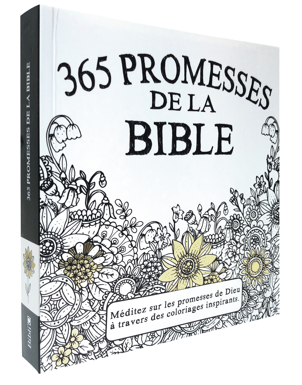 GUIDE PERSONNEL DES PROMESSES DE DIEU (LE) - 866 PROMESSES DE LA PAROLE ...